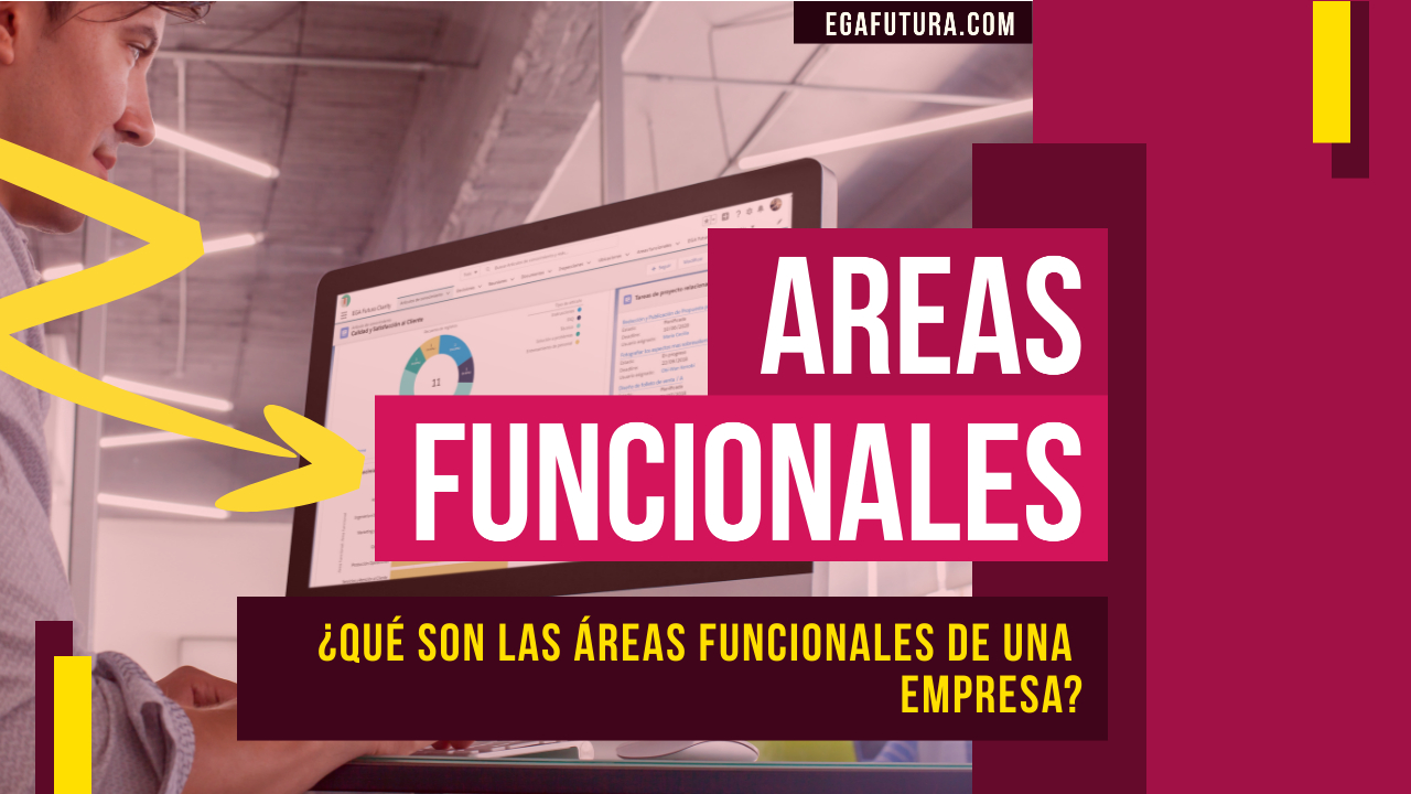 📚 ¿Qué son las Áreas funcionales de una empresa? » Glosario [Objeto / Base de datos]